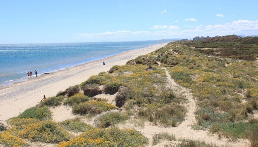 Playa del Saler - Experiences Valencia