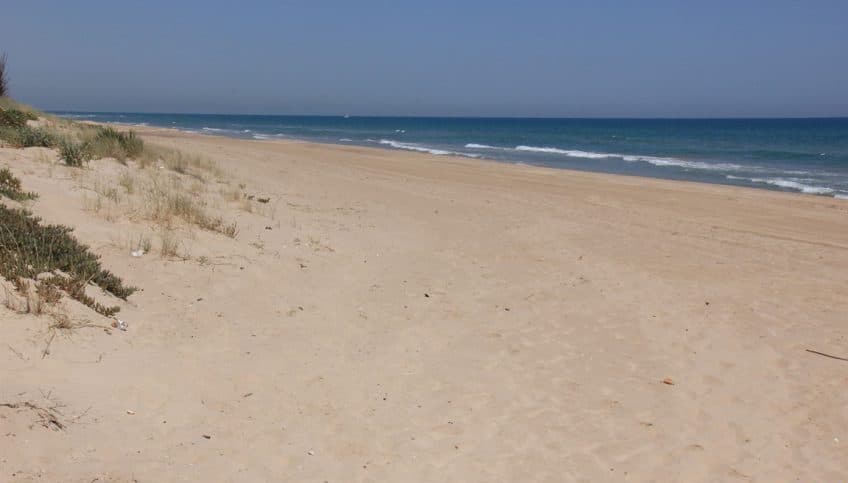 Playa El Rey-Mareny de Barraquetes - Experiences Valencia