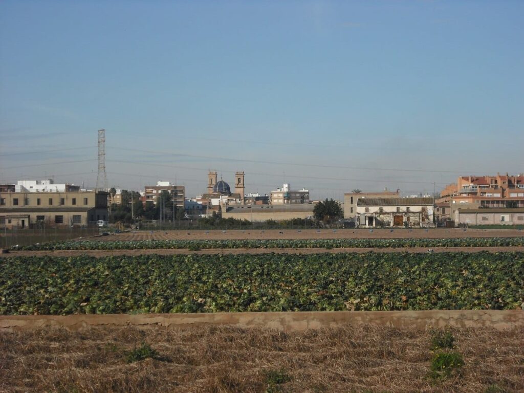 Rutas de Senderismo en Almàssera, Valencia: Naturaleza y Cultura en el ...