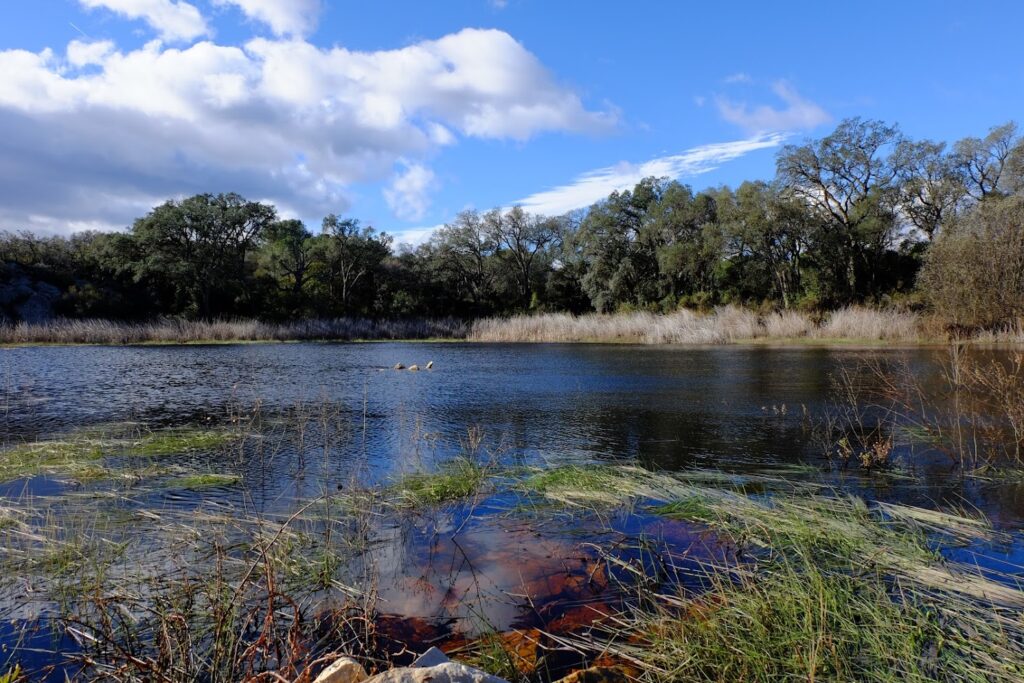 Explora La Dehesa de Soneja en Soneja, Castellón - Una Joya Natural en ...