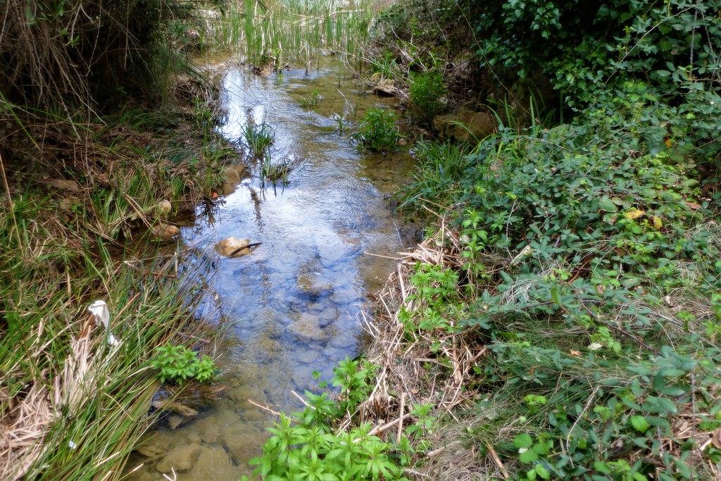 Explora las maravillosas pozas de la Cueva del Turche en Buñol ...