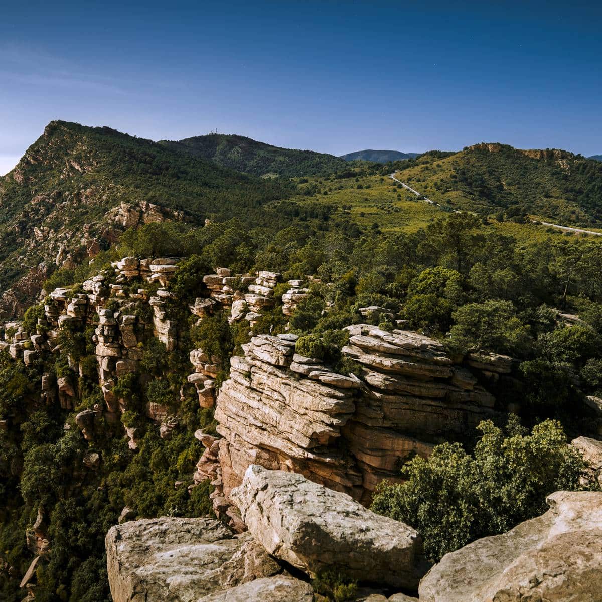 Parque Natural de Serra Calderona - Experiences Valencia